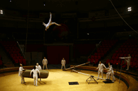 The Palace Of Wonder